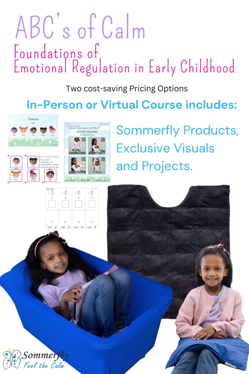 ABC's of Calm - Foundations of Emotional Regulation in Early Childhood ...